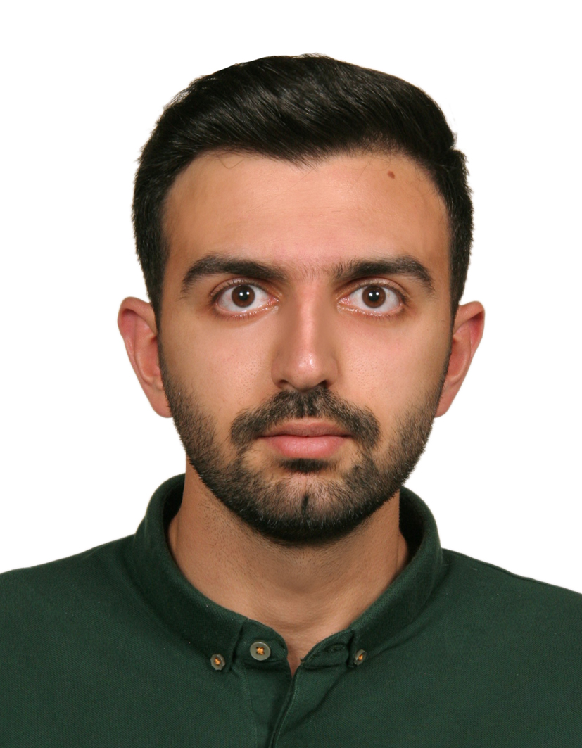 Seyed Mohammad Taghavi