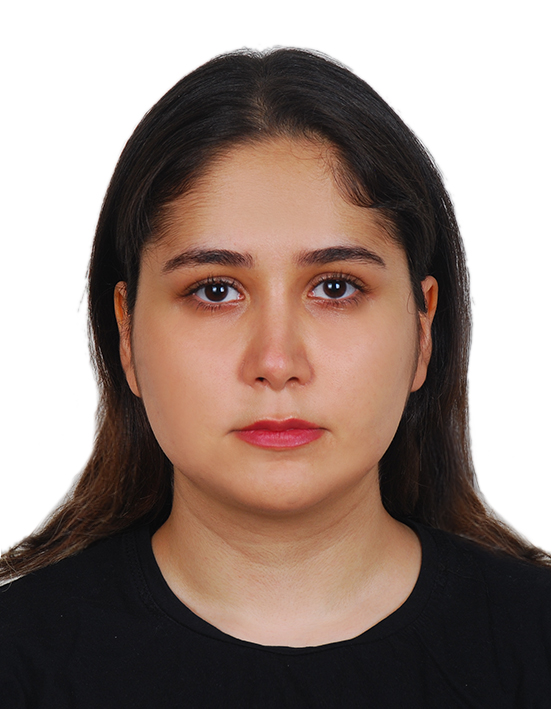 Seyed Mohammad Taghavi